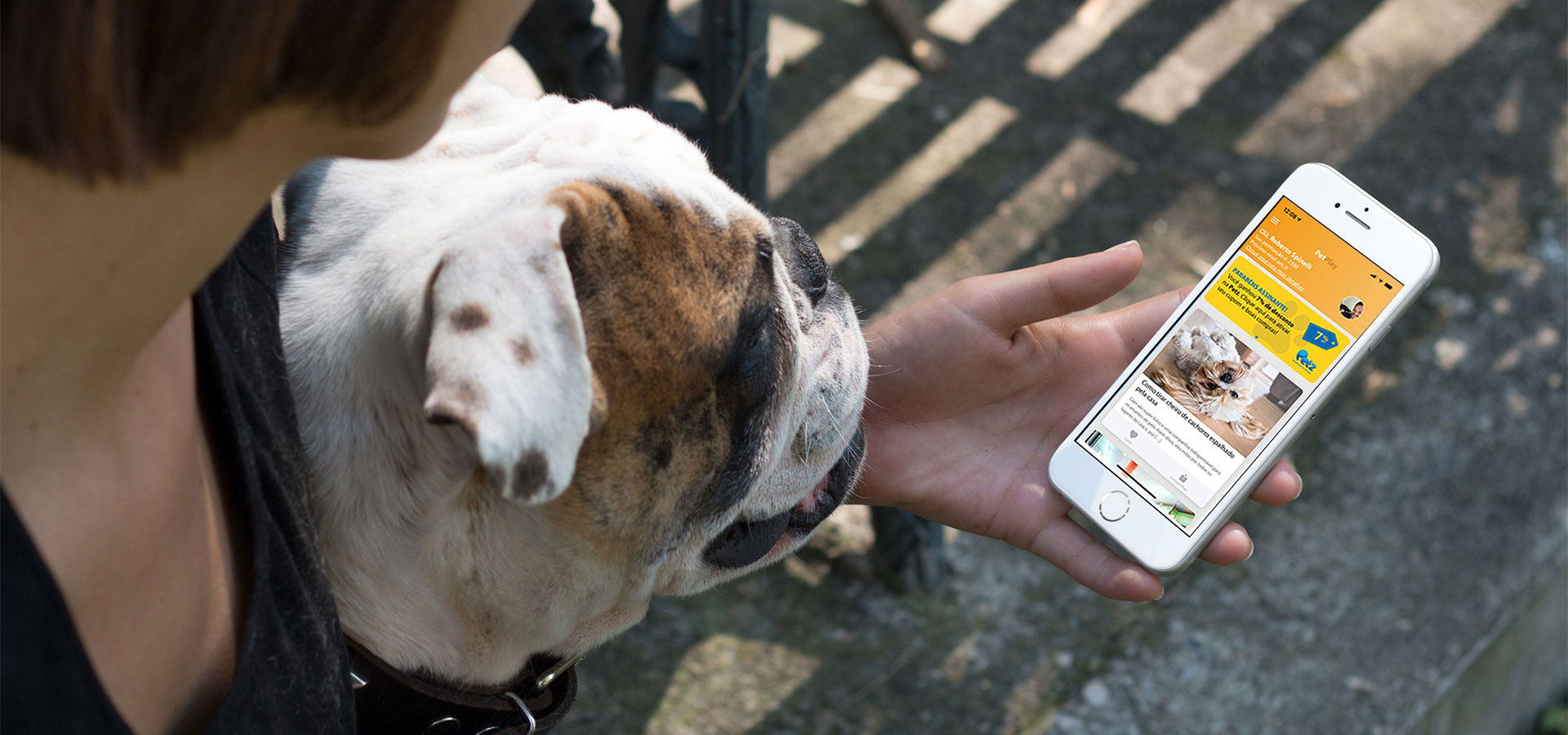 Entenda o que é a dermatite atópica canina | PetPlay